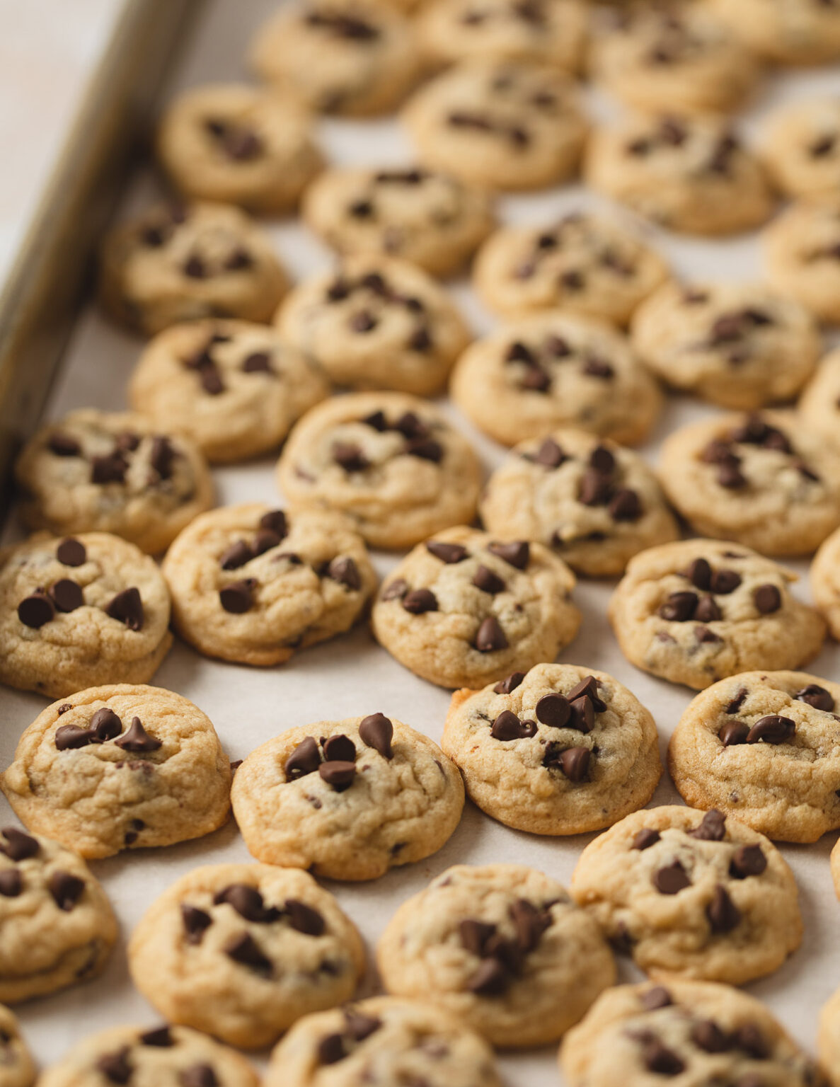 Small Batch Chocolate Chip Cookies Recipe - Elle Makes Dessert
